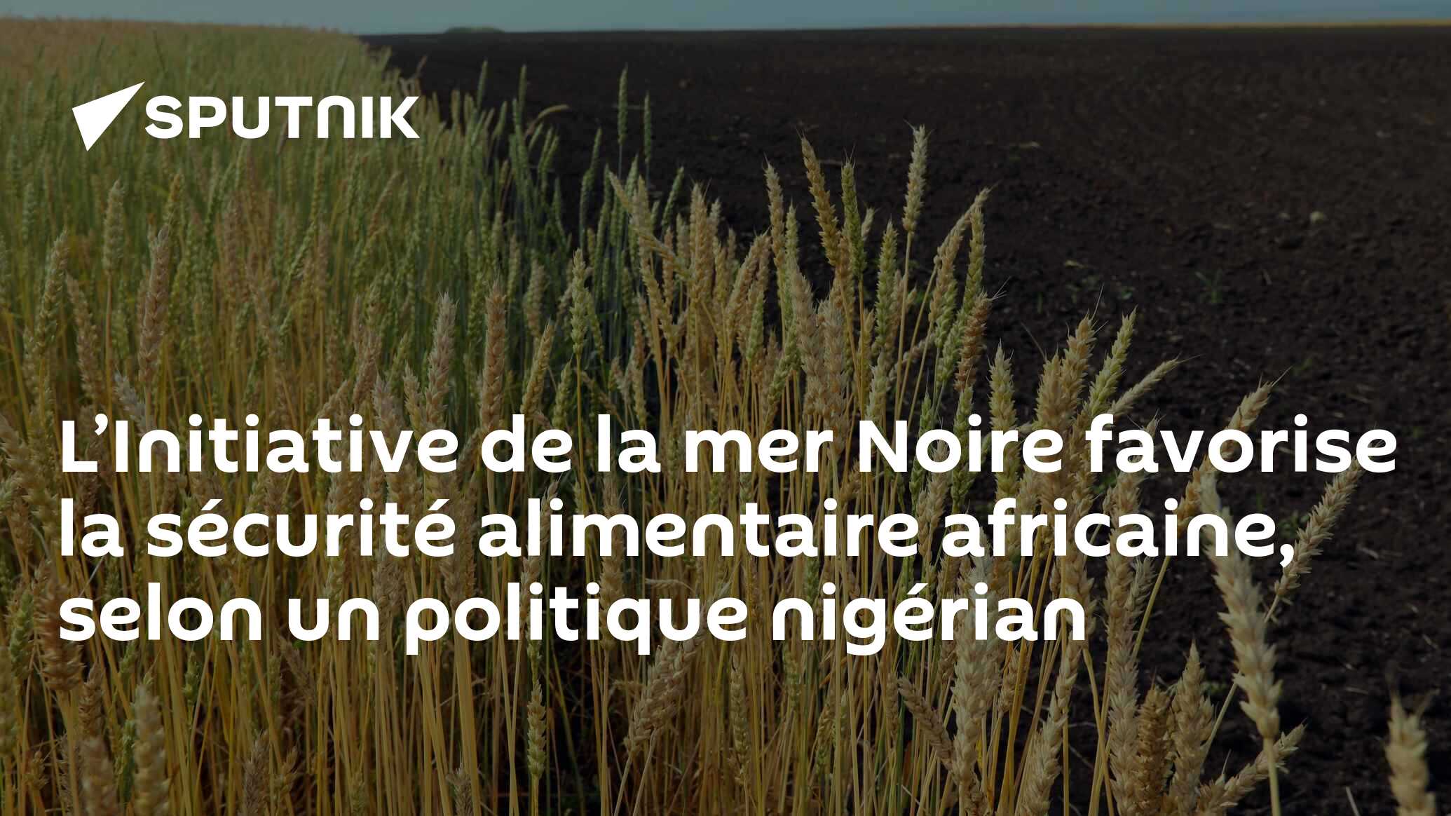 L’Initiative de la mer Noire favorise la sécurité alimentaire africaine ...