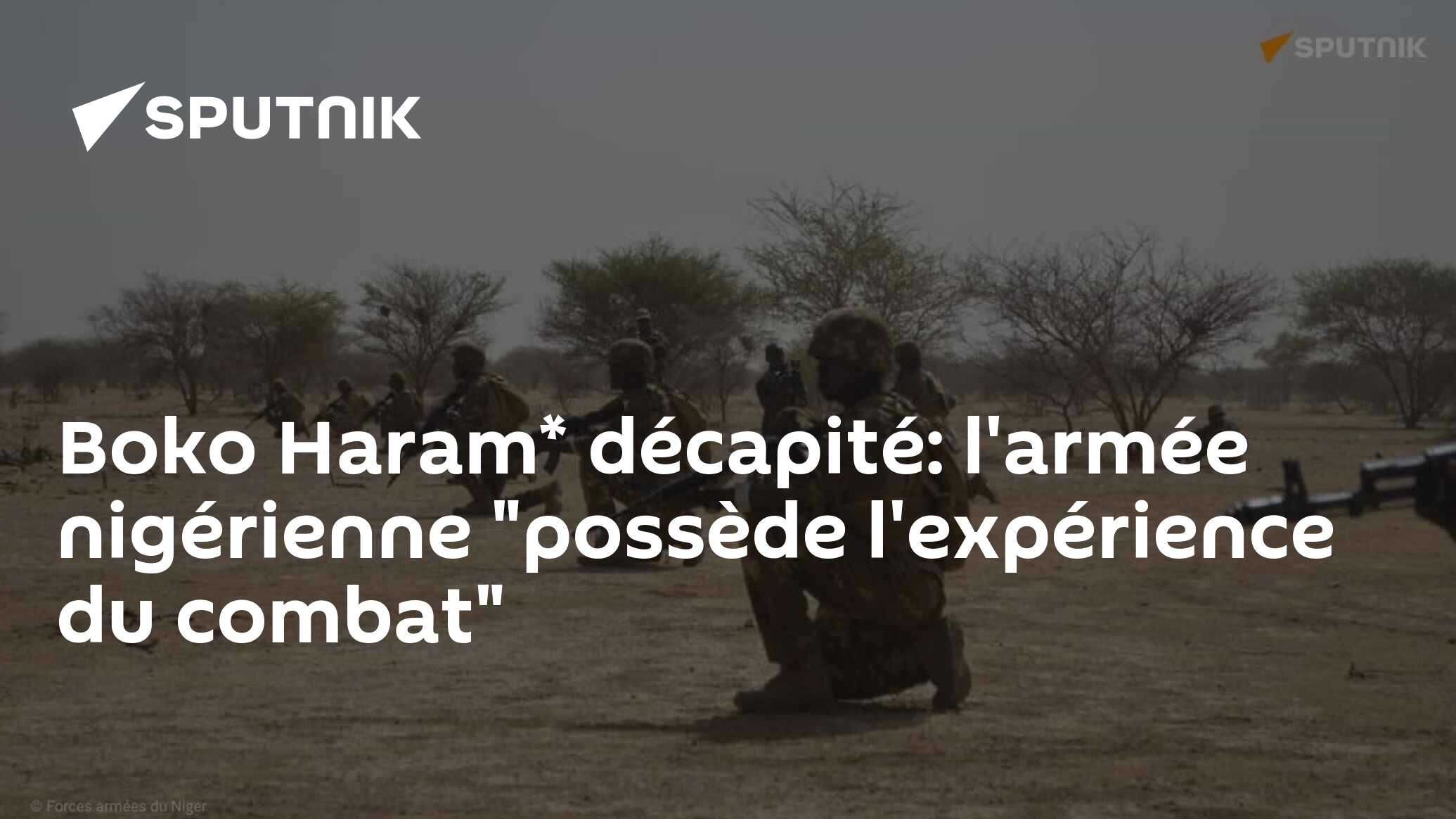 Boko Haram* décapité: l'armée nigérienne "possède l'expérience du ...