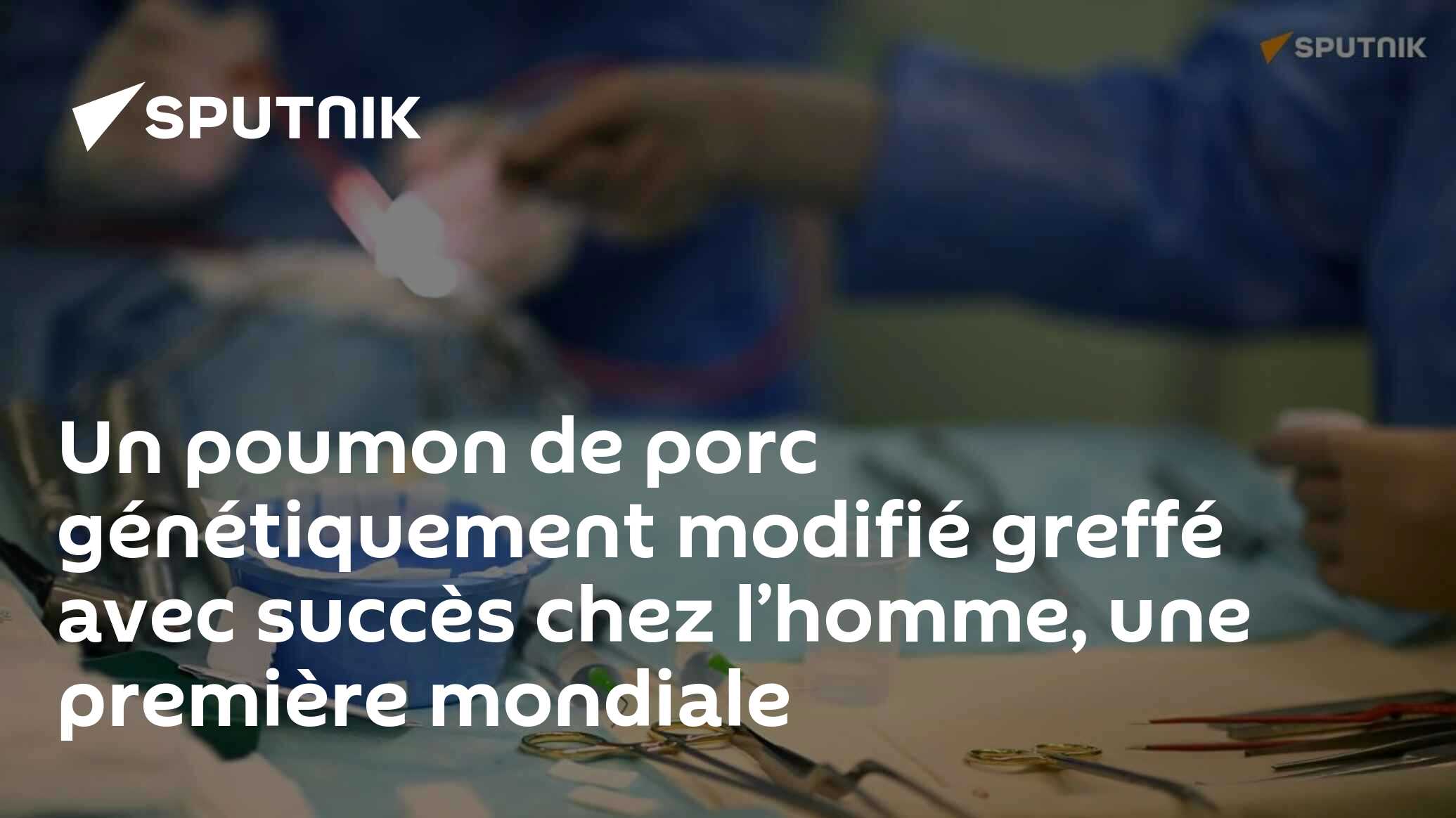 Un poumon de porc génétiquement modifié greffé avec succès chez l’homme ...