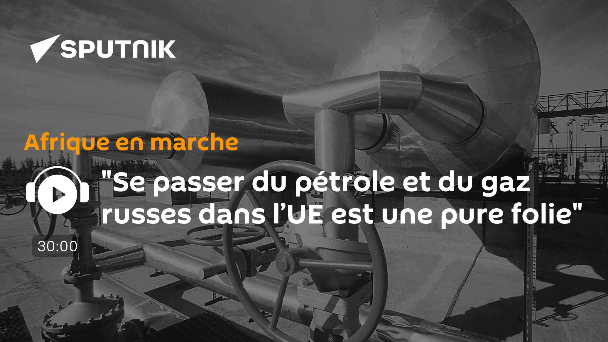 "Se passer du pétrole et du gaz russes dans l’UE est une pure folie ...