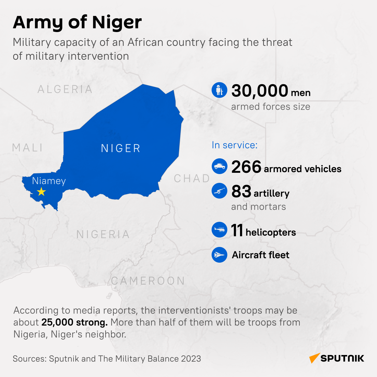 How Sizeable is Niger's Army in Light of Possible Intervention? - 11.08 ...