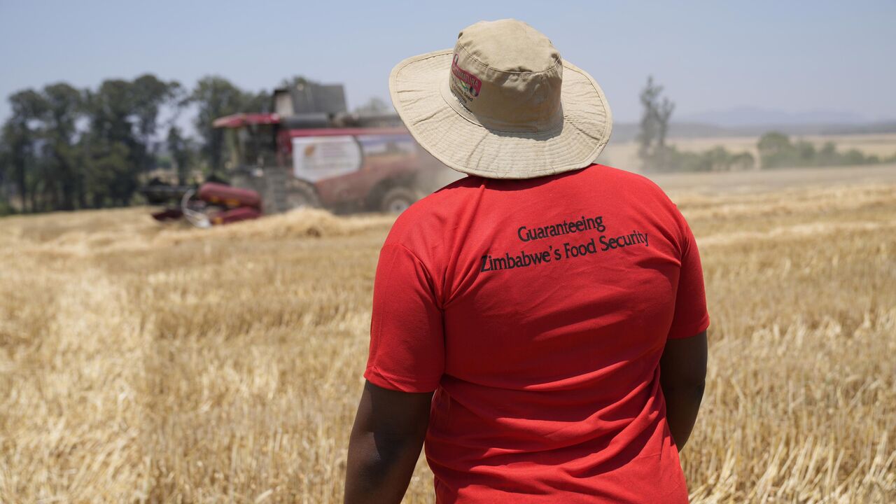 This African Country Sets New Record for Wheat Production - 10.11.2023 ...