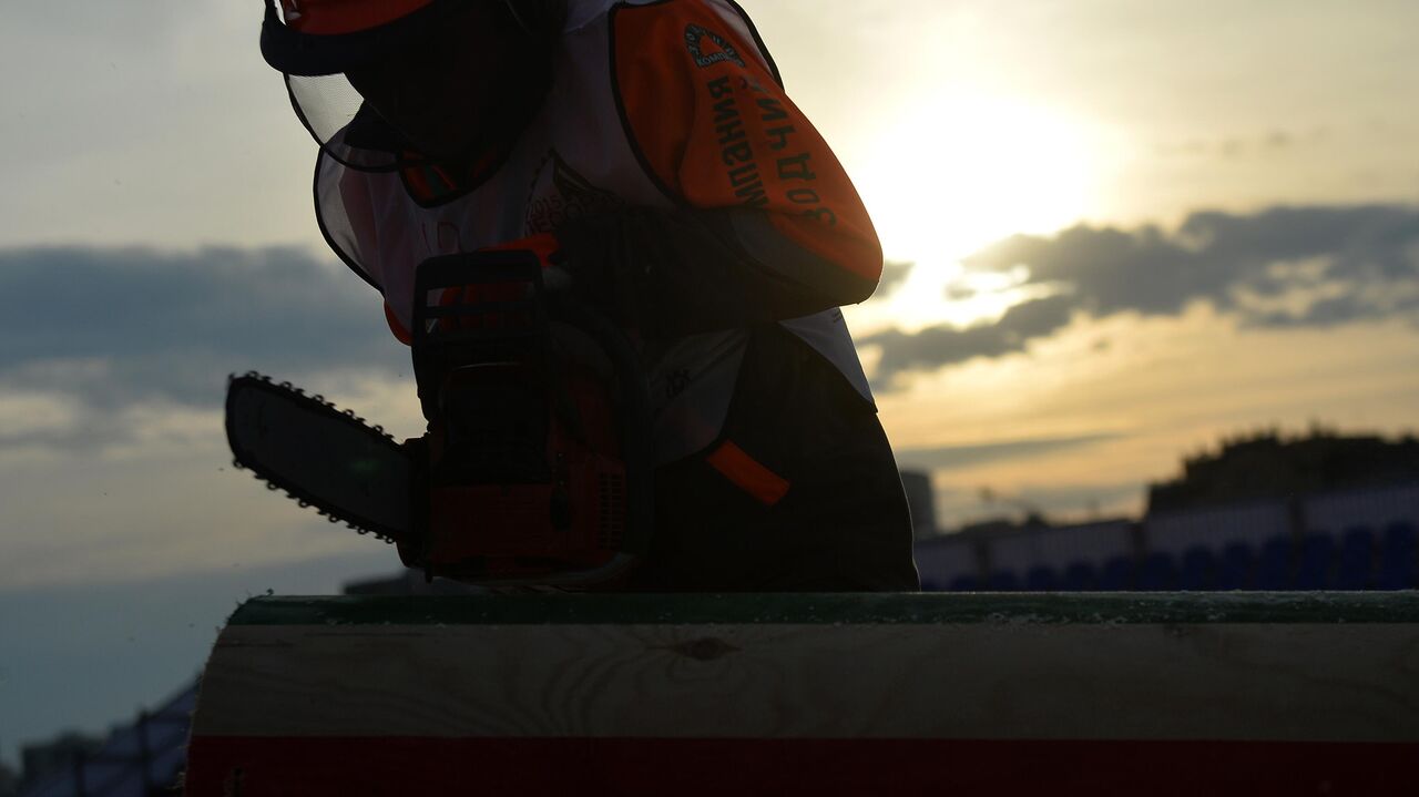 Le Gabon autorise de nouveau l'exploitation d'un arbre rare, le ...