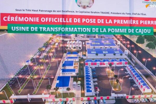 Nouvelle ère pour le cajou au Burkina: le capitaine Traoré pose la ...