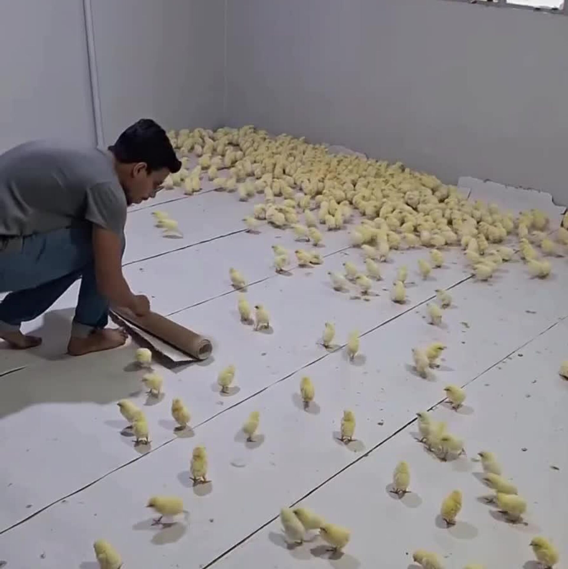 Une salle anti-stress pas comme les autres créée en Inde - 13.01.2026 ...