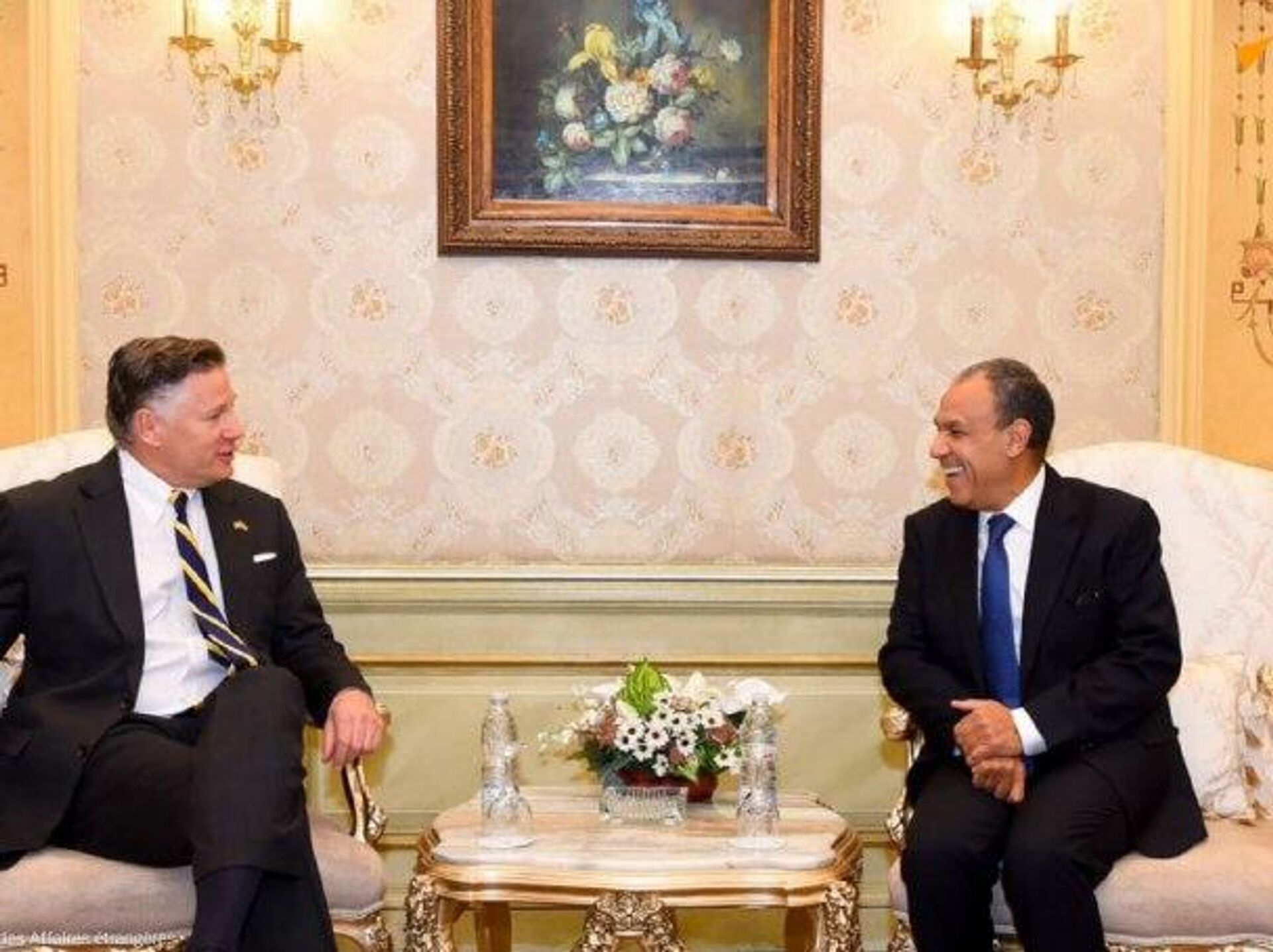 Le Caire insiste sur la nécessité de mettre en œuvre la deuxième phase du cessez-le-feu à Gaza ...