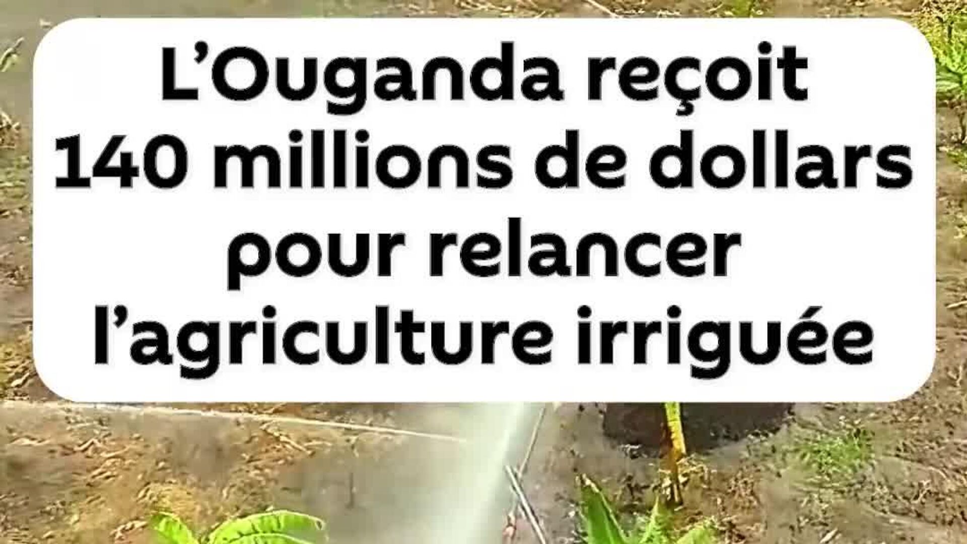 L'Ouganda a reçu 140 M USD pour transformer l'agriculture de l'ouest du ...