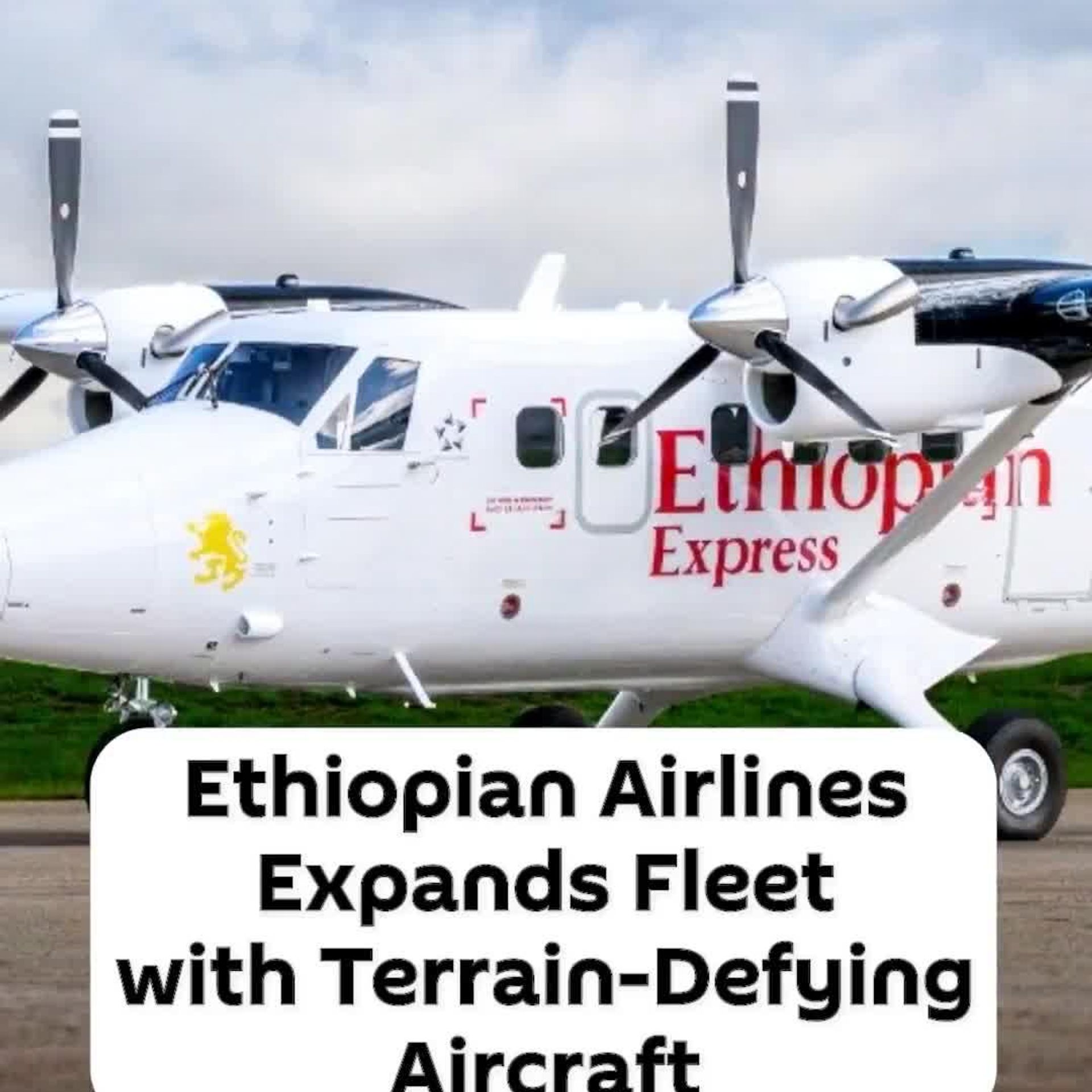 What's Ethiopian Airlines' Latest Acquisition? - 24.06.2026, Sputnik Africa